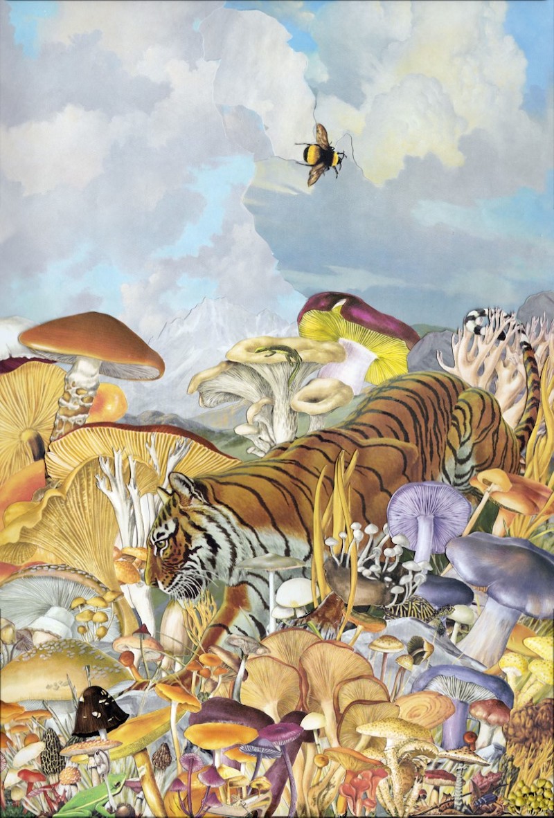 X-Men to X-acto: The otherworldly analog collages of Michael Tunk - 48 ...