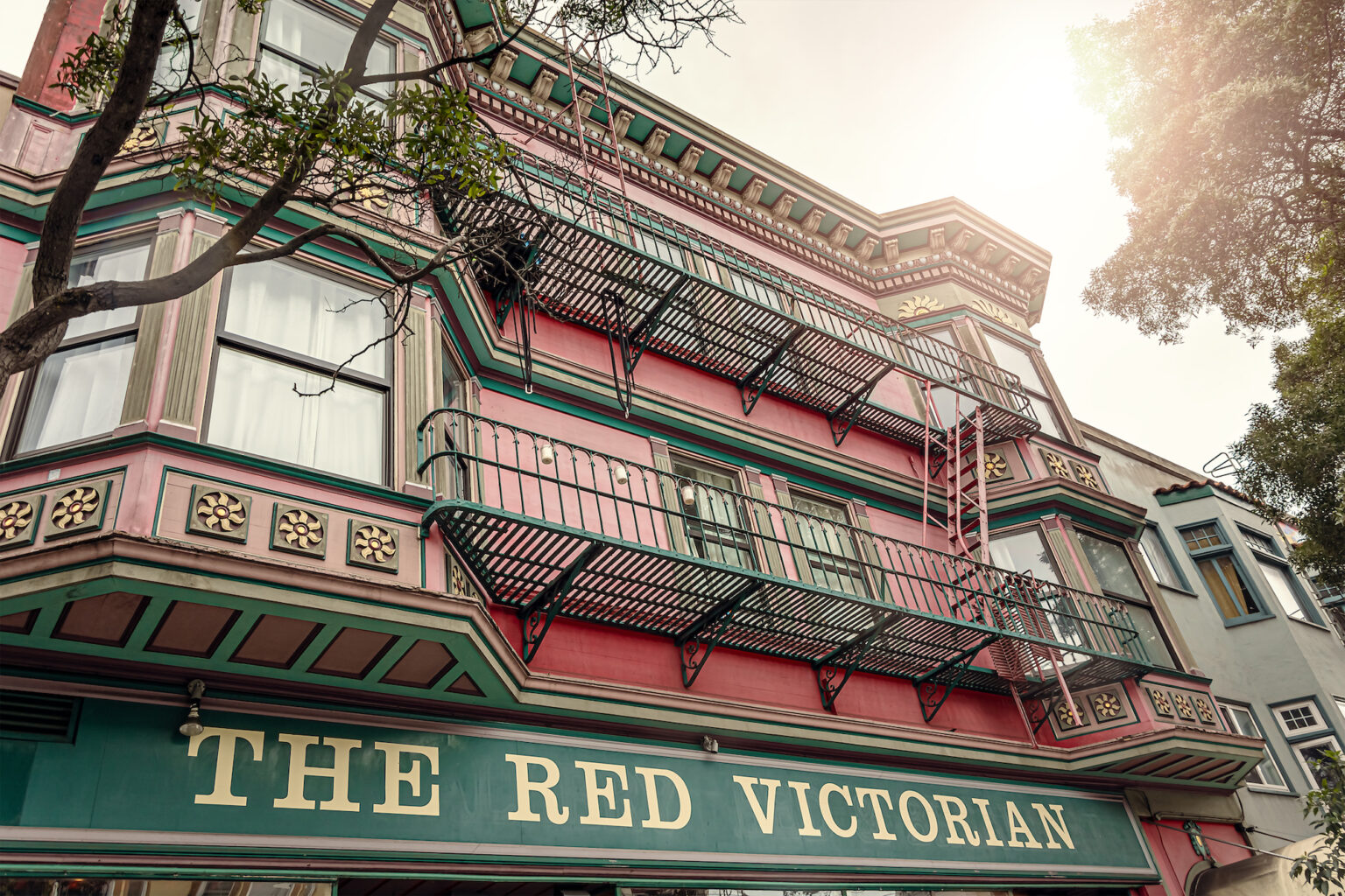 Robots in the crash pad: The twisted takeover of the Red Victorian ...