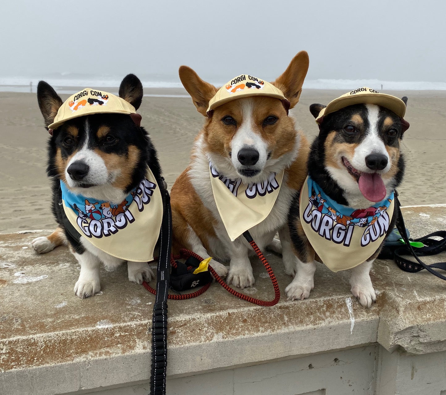 Arts Forecast: Juneteenth, Jazzteenth, Corgi Con, Bad Gays, Sara ...