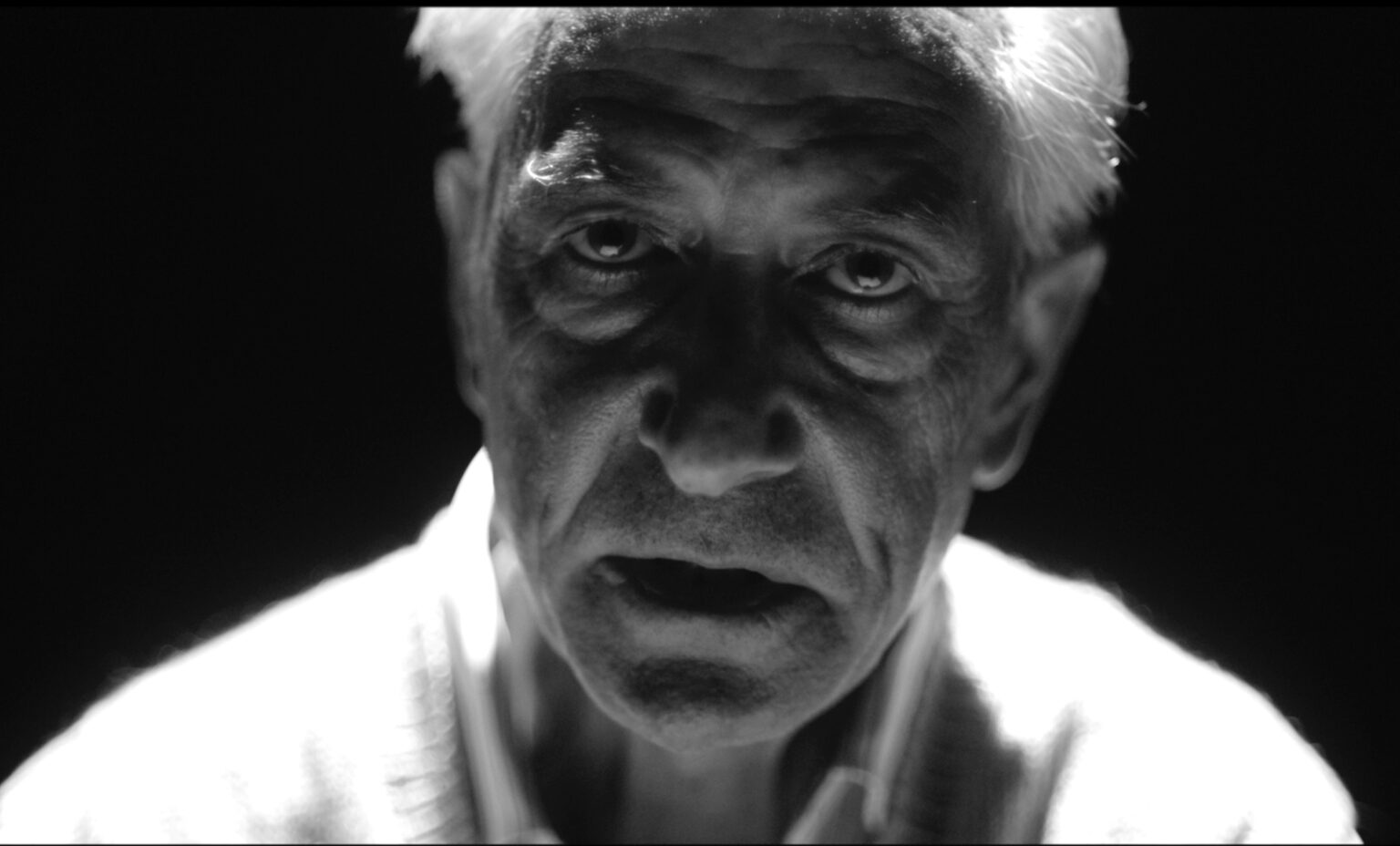 With 'Remember This,' David Strathairn embodies Polish Resistance hero ...