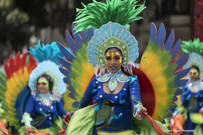 Strength in diversity, SF style: Carnaval rolls out for its 45th ...