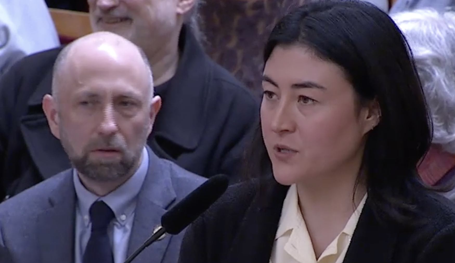 Breed housing plan, which threatens tenants, gets narrow commission nod ...