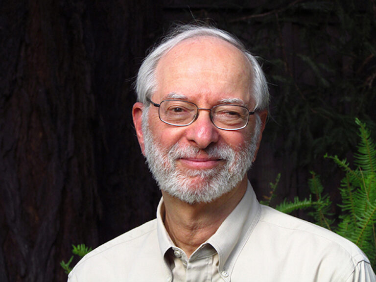 Something rotten: Nazi-occupied Denmark through young eyes in Richard ...