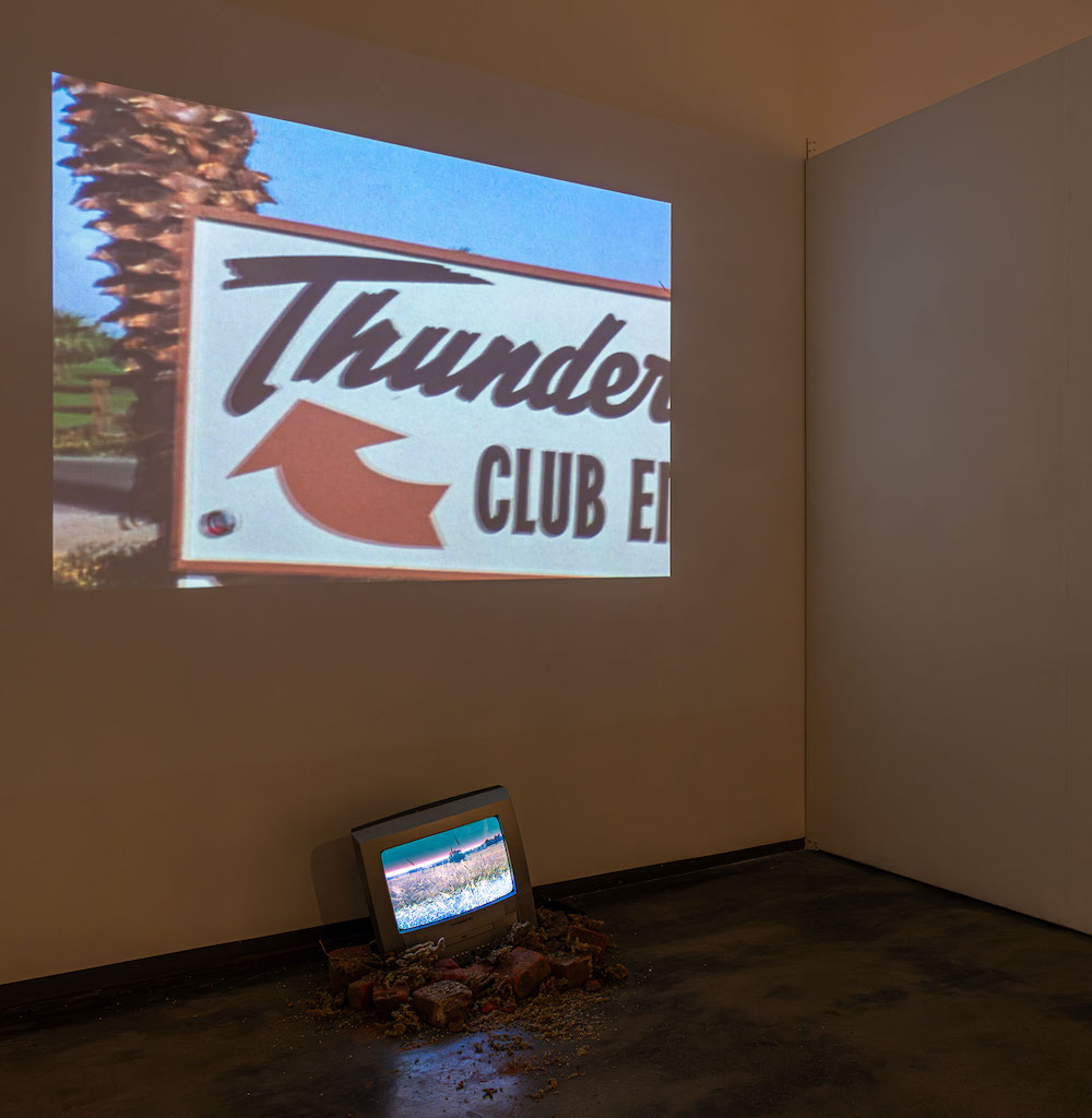 Of memories and migration: Trina Michelle Robinson's deep family ...