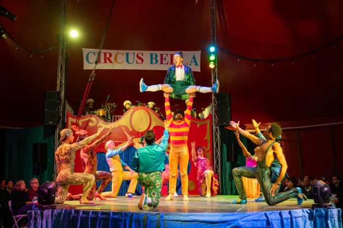 Live Shots: Circus Bella's 'Kaleidoscope' reels with oohs and aahs - 48 ...