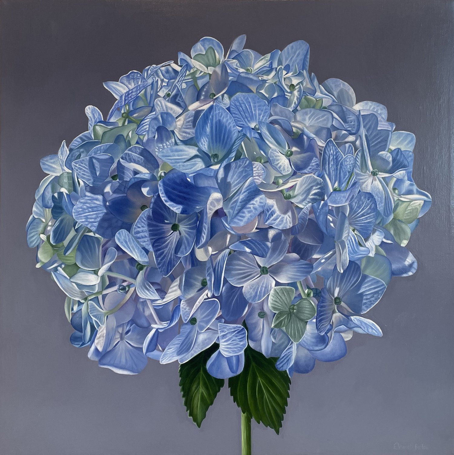 Elizabeth Barlow paints 'the fierce life force in even the tiniest ...