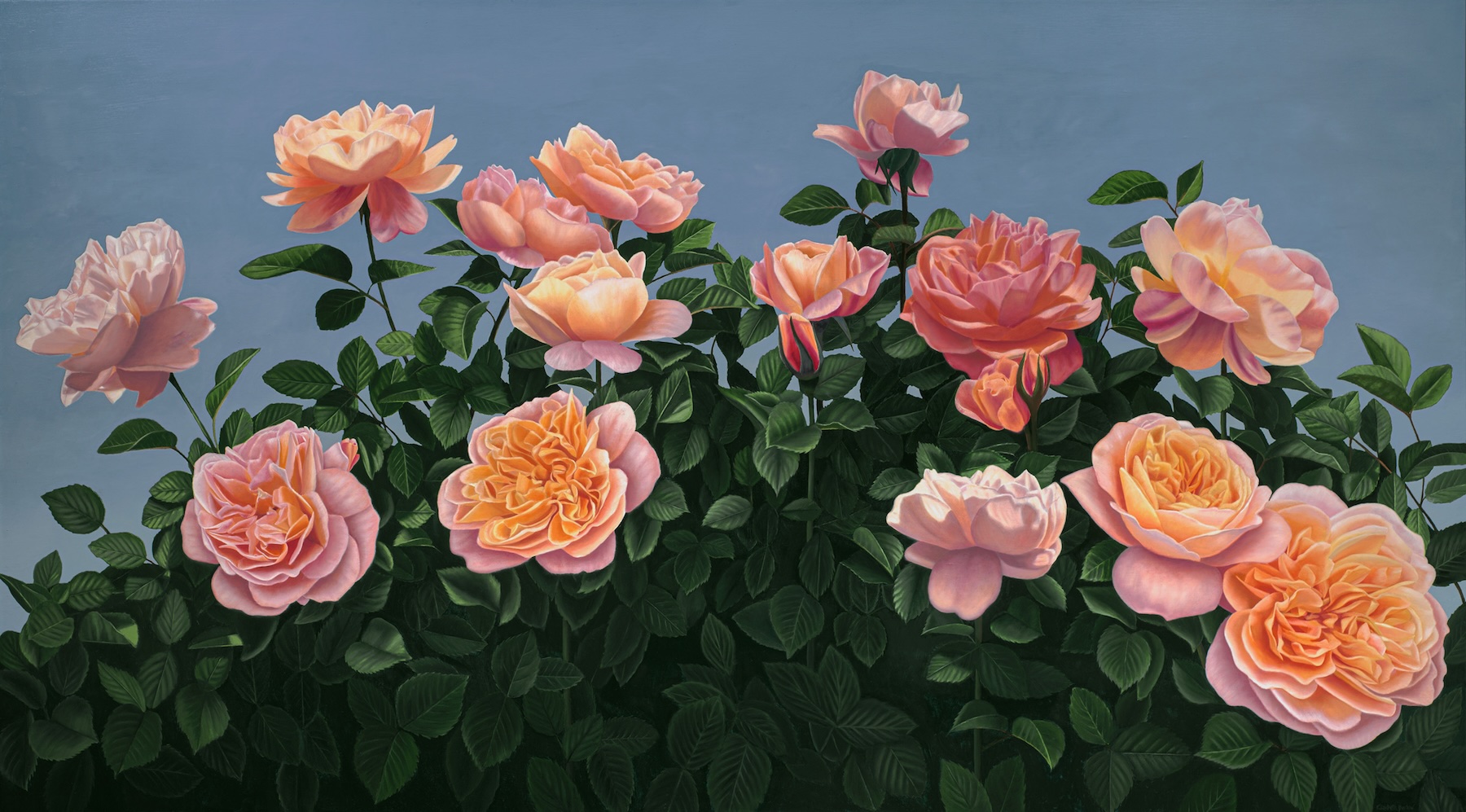 Elizabeth Barlow paints 'the fierce life force in even the tiniest ...