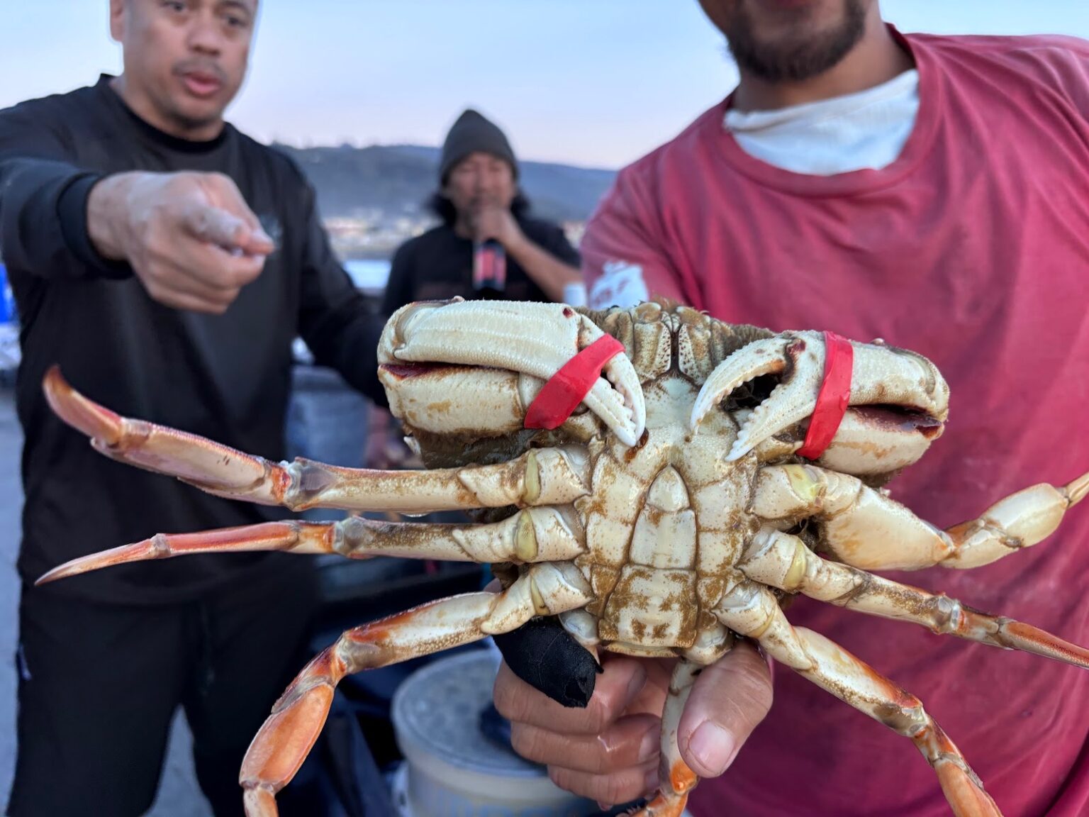 How to catch a crab - 48 hills