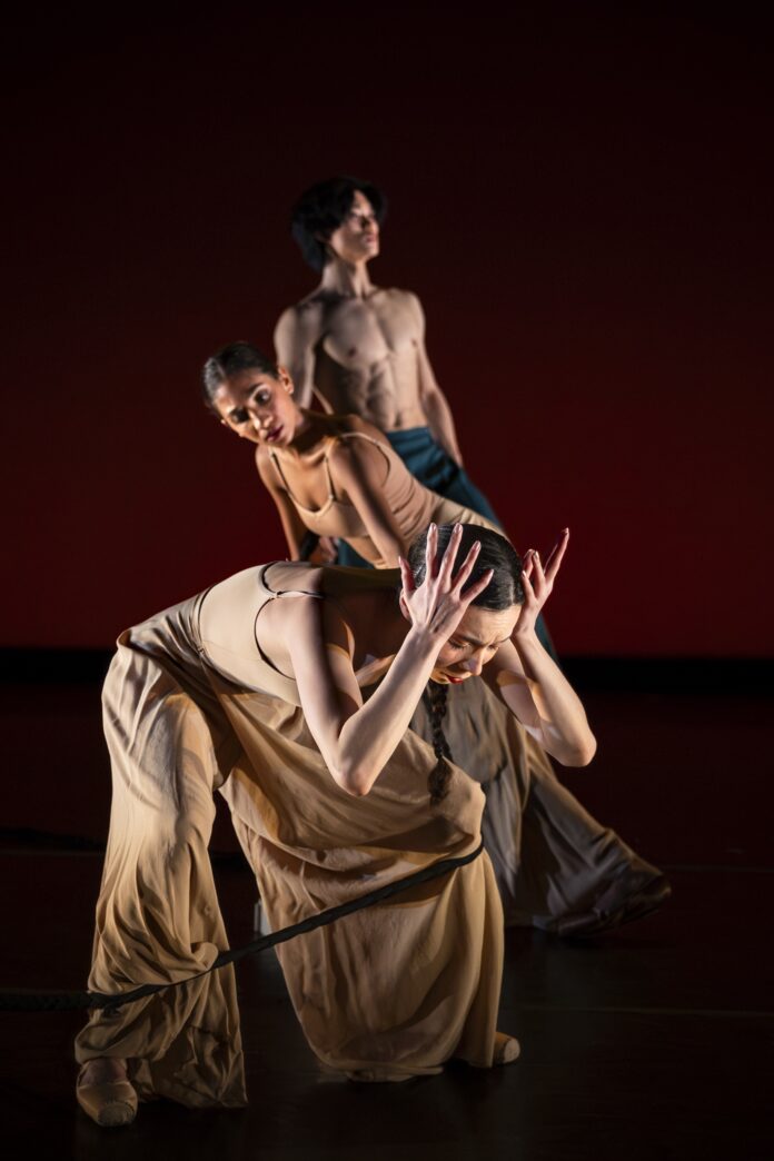 Behind 'Angel Island Project,' a powerhouse ensemble and dark history ...
